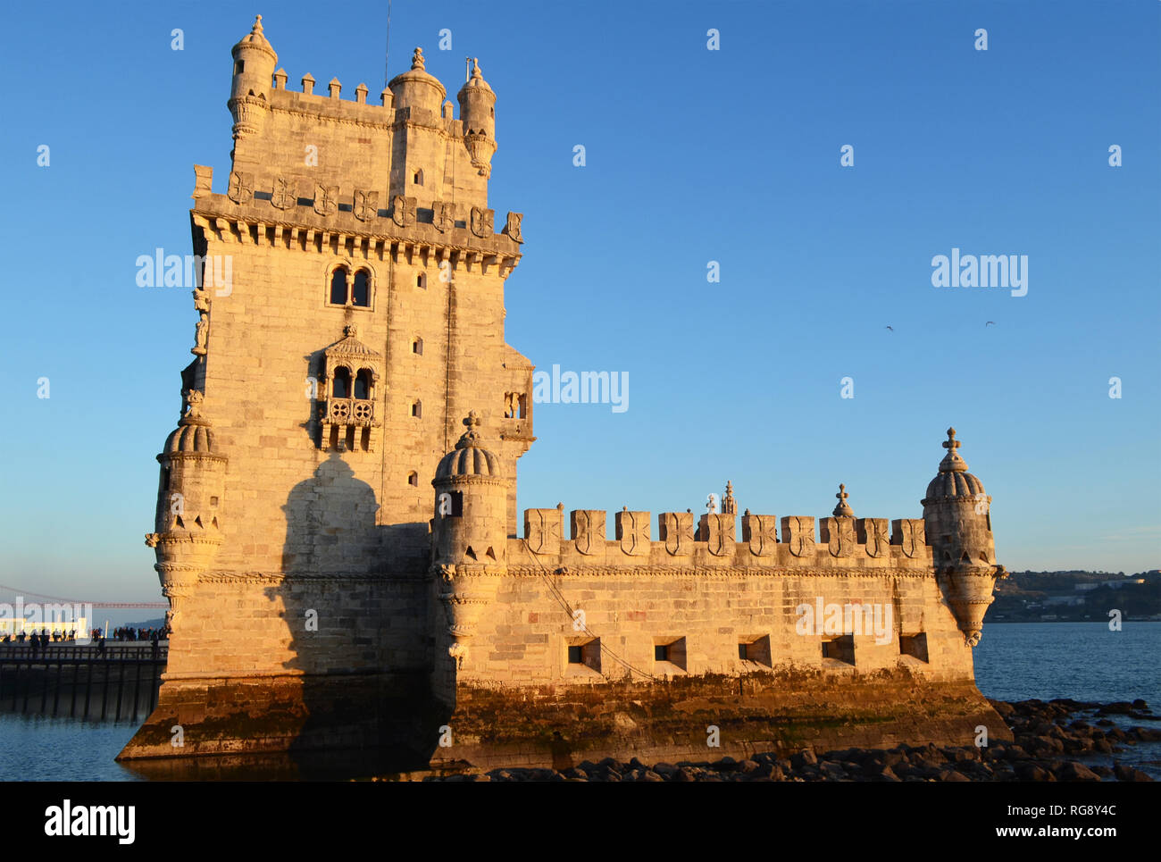 Tower belem rhinoceros hi-res stock photography and images - Alamy