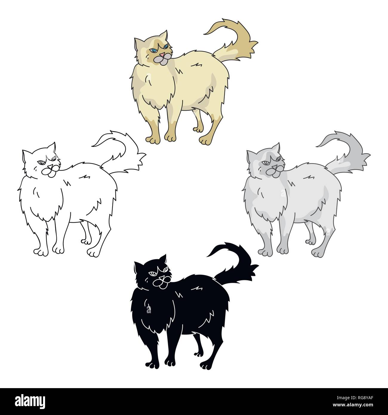 animal,art,background,breed,breeds,cartoon,cat,character,coon,cute ...