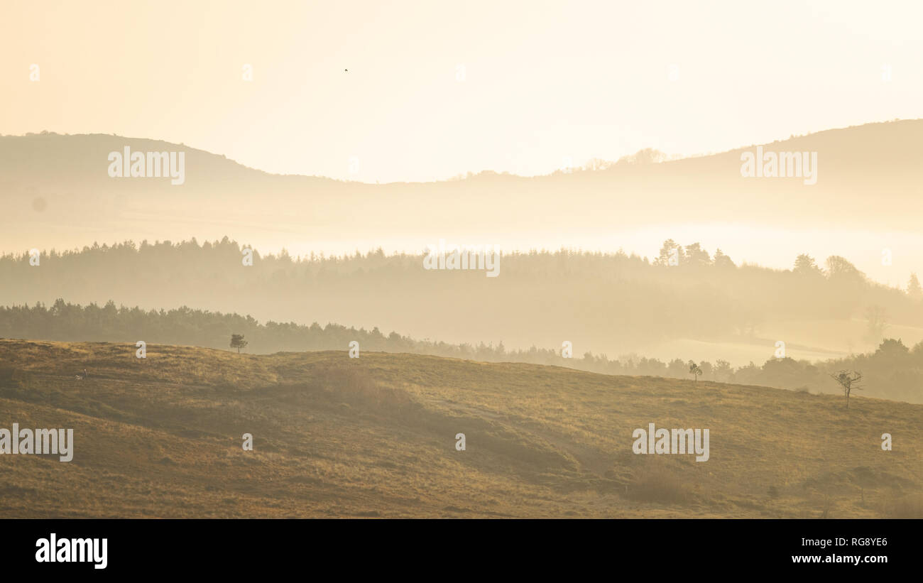 Hills receding into the distance on Woodbury Common, East Devon, South ...