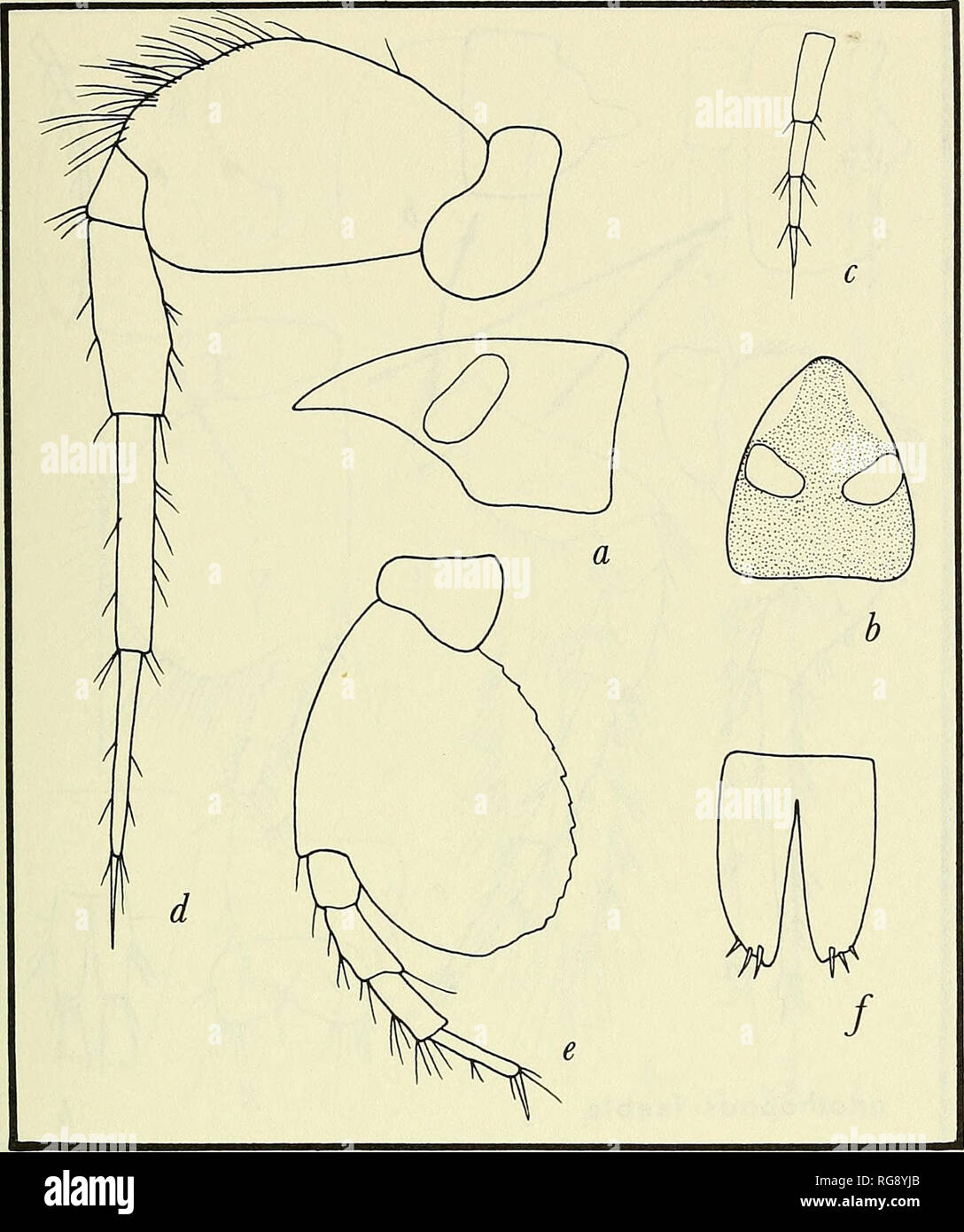 Elongated configurations hi-res stock photography and images - Alamy