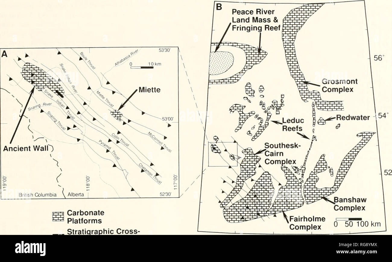 . Bulletins of American paleontology. Thornton Creek Member: Day and ...