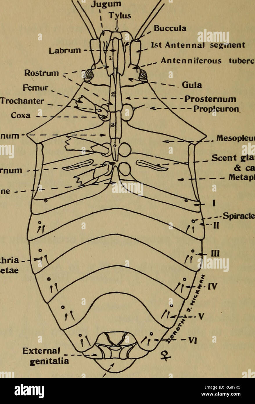 . Bulletin - State Geological and Natural History Survey of Connecticut ...