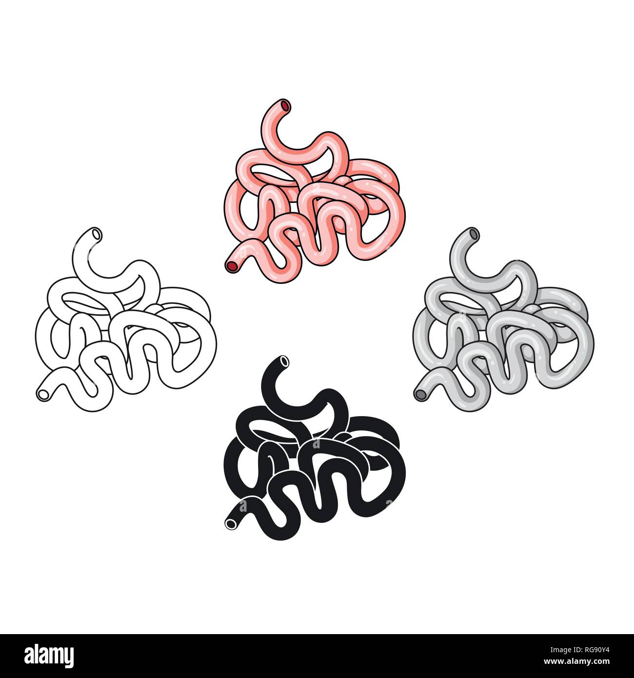 anatomy,appendix,art,background,biology,body,canal,cartoon,colon,design ...