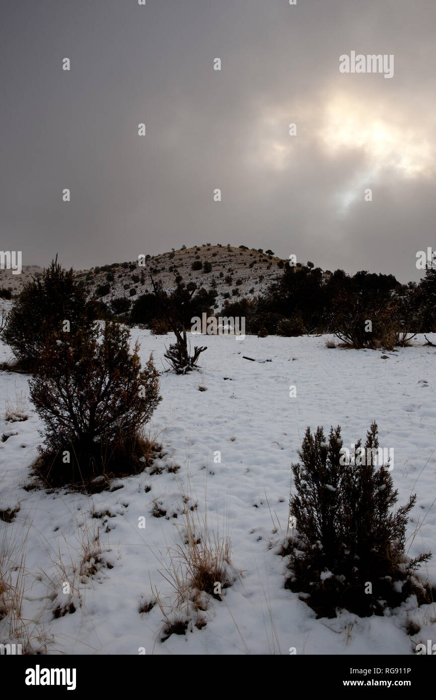 Otero Mesa, Otero County, New Mexico, USA Stock Photo - Alamy