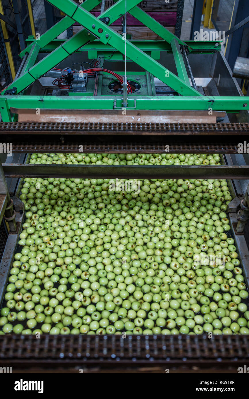 Africa food processing technology hi-res stock photography and images ...