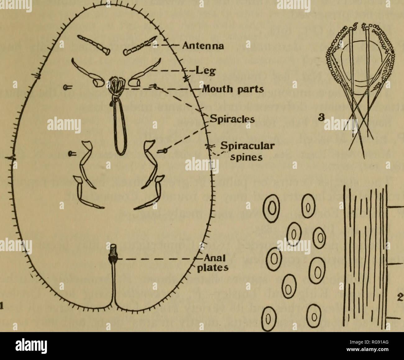 . Bulletin - State Geological and Natural History Survey of Connecticut ...