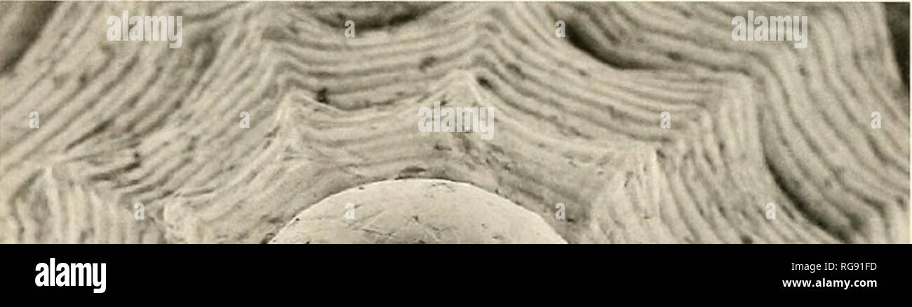 Number 1590 hi-res stock photography and images - Alamy