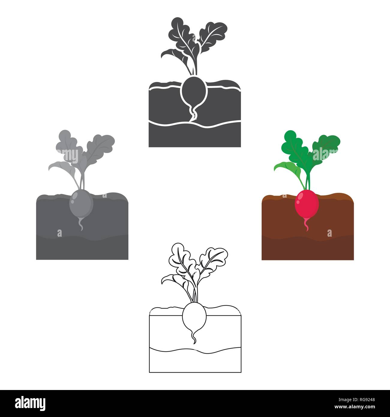 Plant, vegetable cartoon icons in set collection for design. Garden and ...