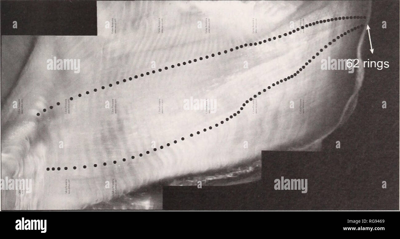 . Bulletin - Southern California Academy of Sciences. Science. Fig. 4 ...