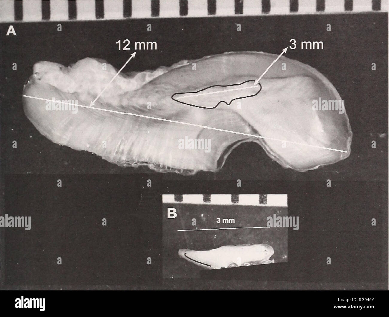 . Bulletin - Southern California Academy of Sciences. Science ...