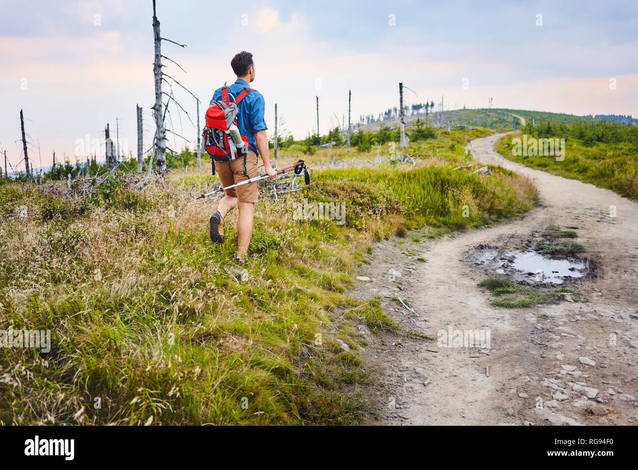 Back view of man hiking in the mountains Stock Photo - Alamy