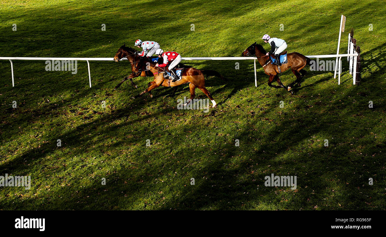 Miggins hi-res stock photography and images - Alamy