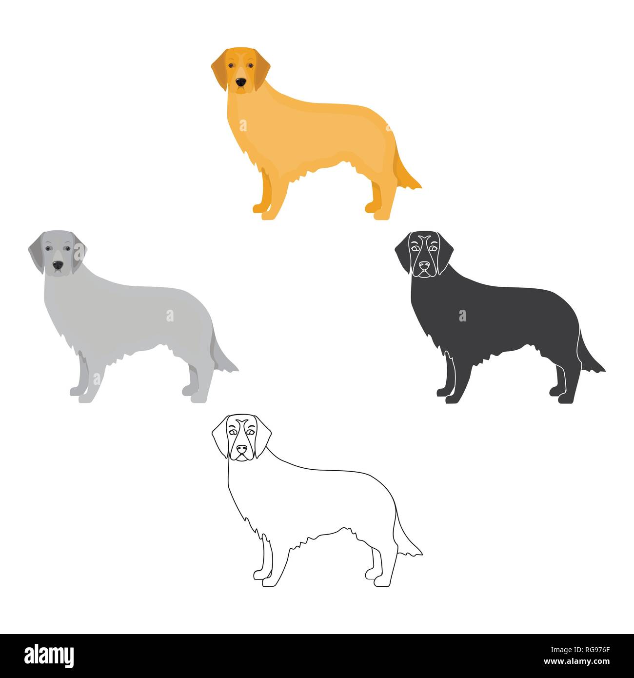 Retriever single icon in cartoon style.Retriever vector symbol stock ...