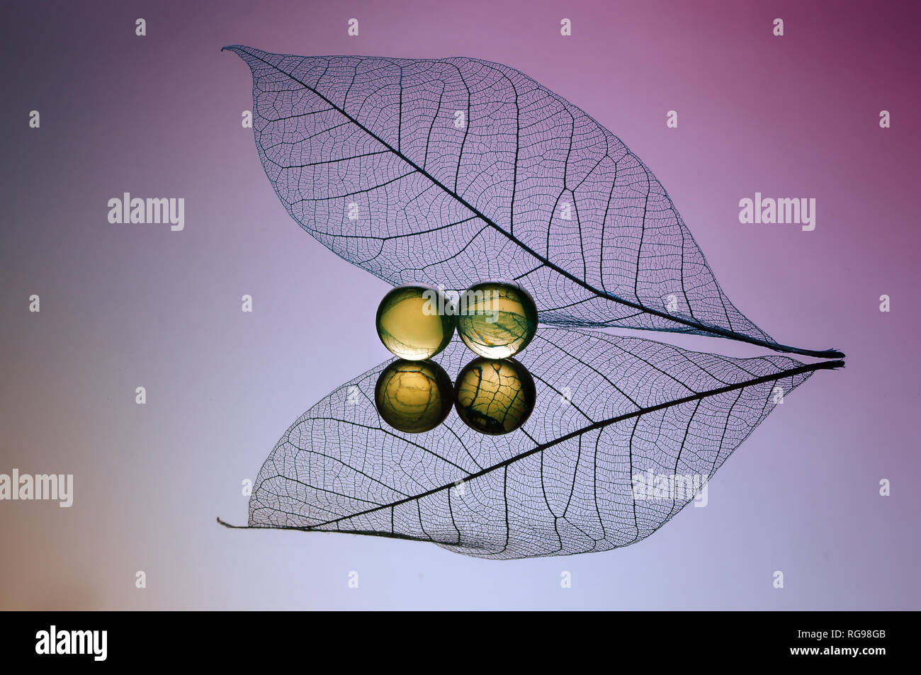 Two Droplets of water with a leaf Stock Photo - Alamy