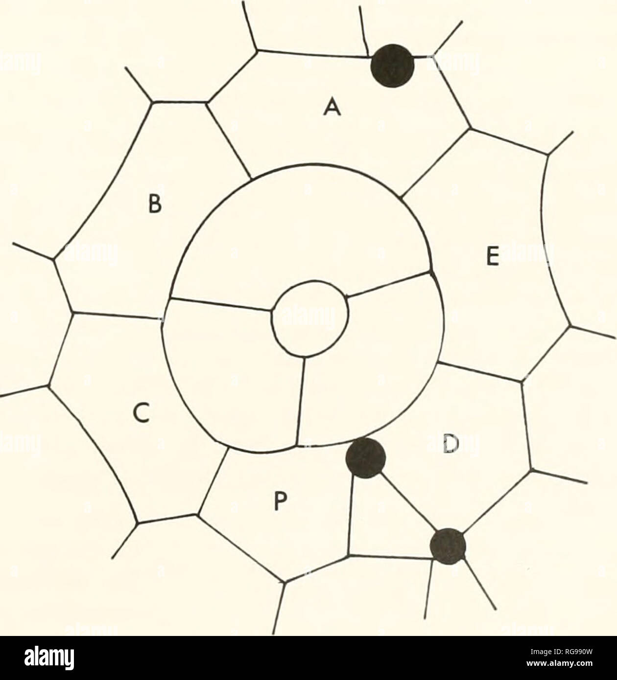 Width 207 mm hi-res stock photography and images - Alamy