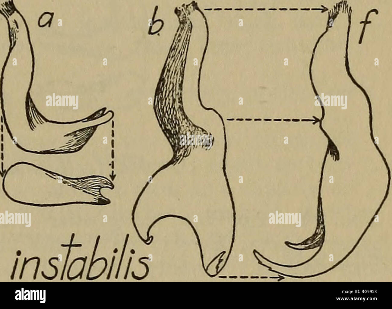 . Bulletin - State Geological and Natural History Survey of Connecticut ...