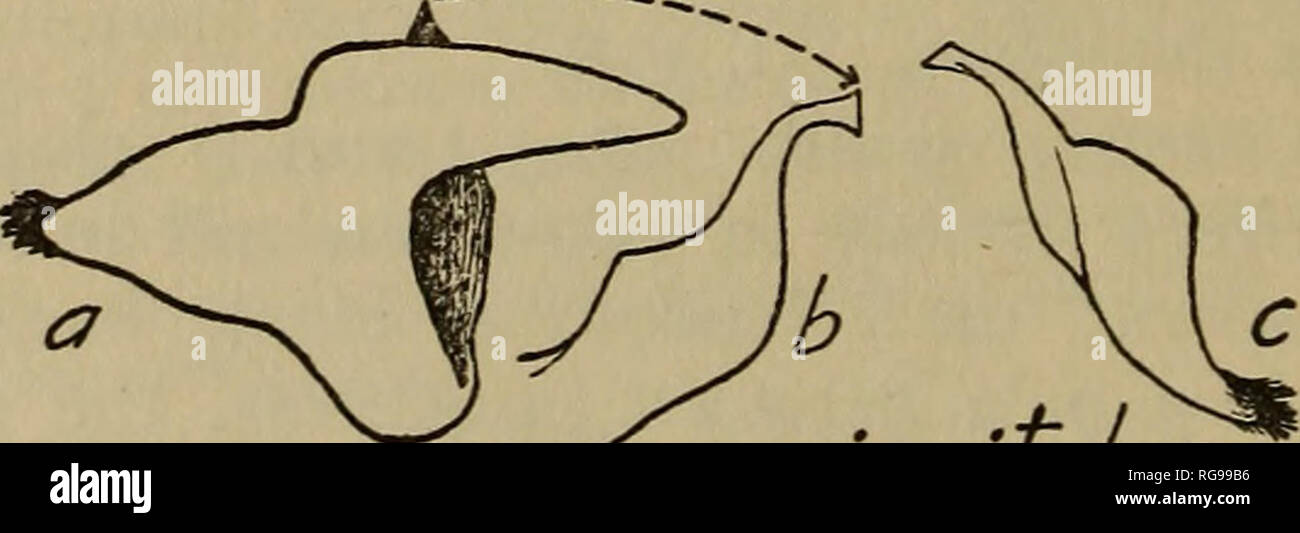 . Bulletin - State Geological and Natural History Survey of Connecticut ...