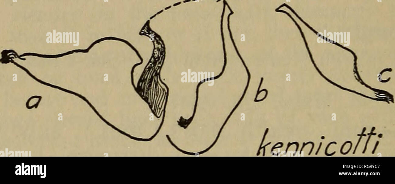 . Bulletin - State Geological and Natural History Survey of Connecticut ...