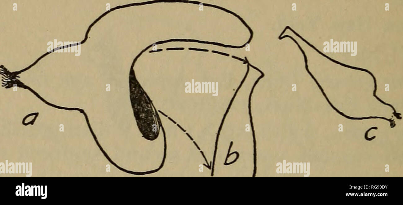 . Bulletin - State Geological and Natural History Survey of Connecticut ...