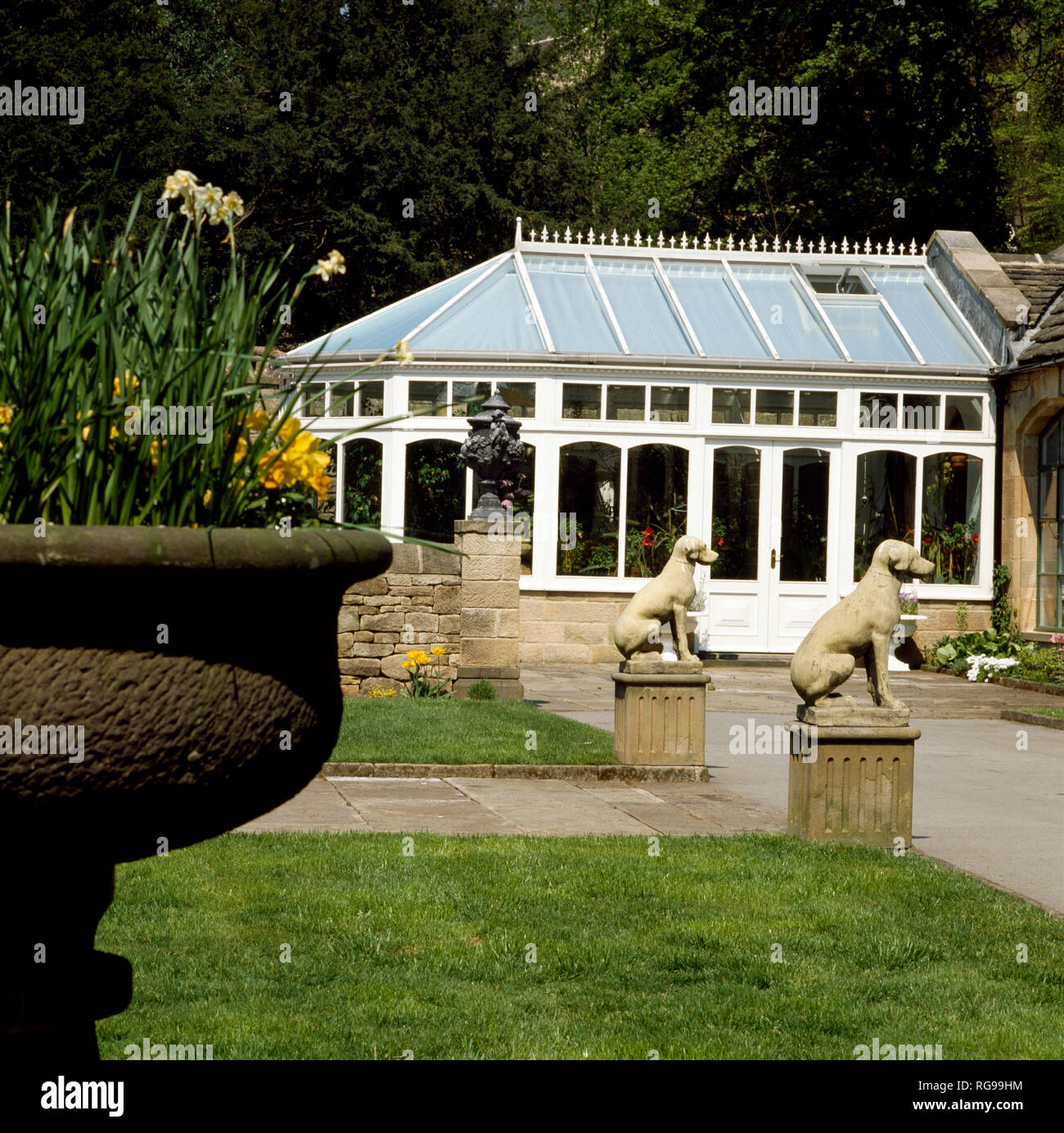 Stone dogs on plinths in front of large conservatory Stock Photo - Alamy
