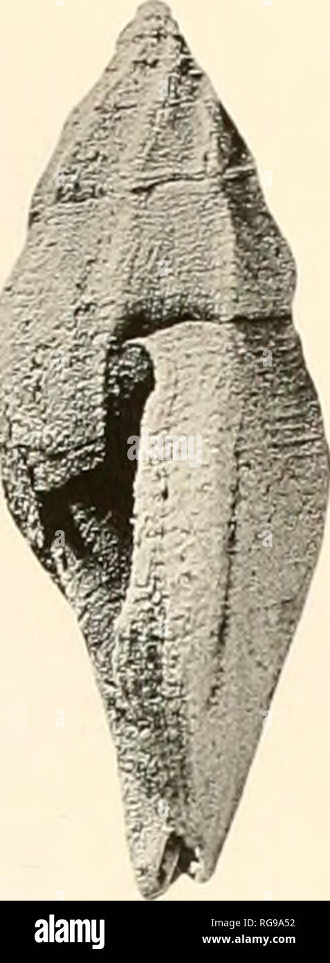 Banano river hi-res stock photography and images - Alamy