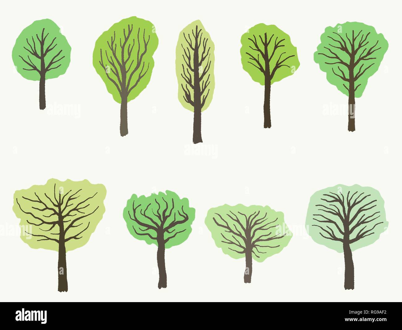 Beech tree drawing hi-res stock photography and images - Alamy