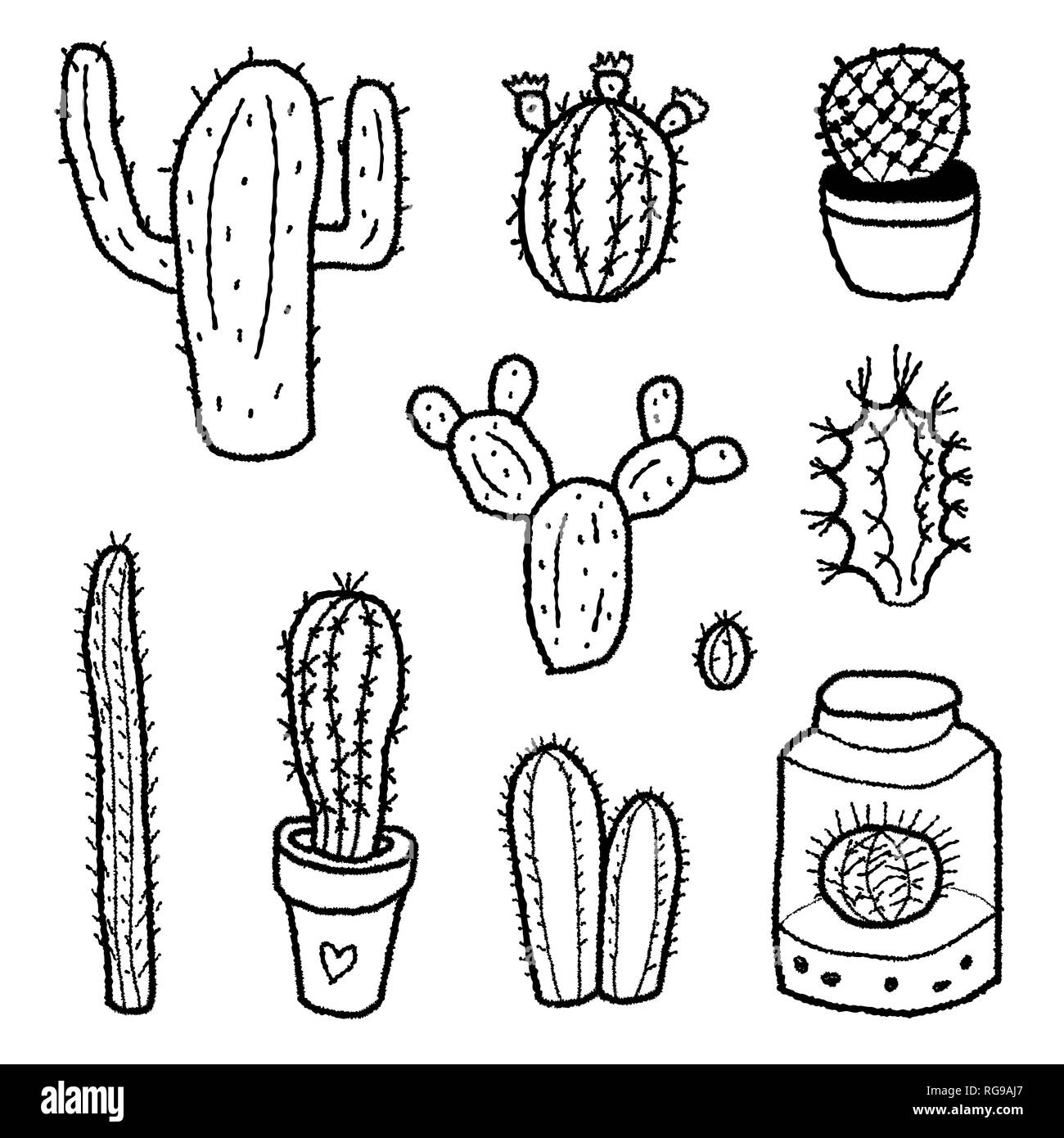 Cactus Species Collection Quirky Doodle Style Vector Illustration