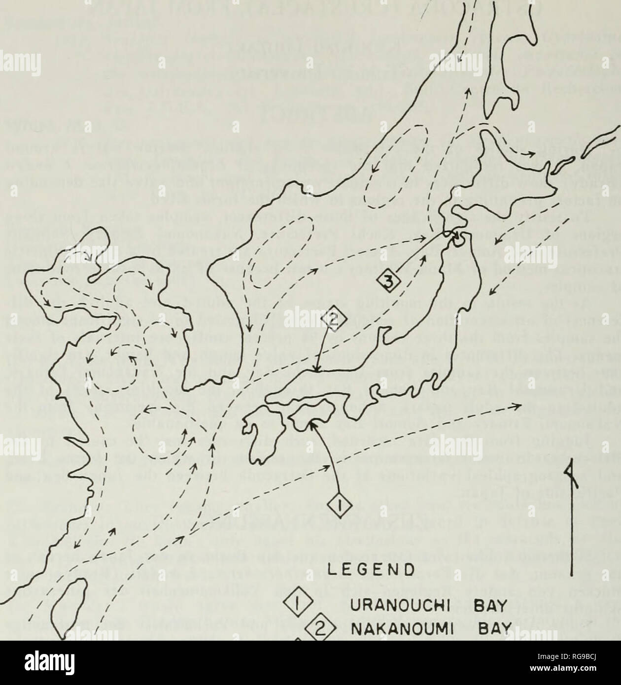 . Bulletins of American paleontology. 246 K. ISHIZAKI. CURRENT SYSTEM ...