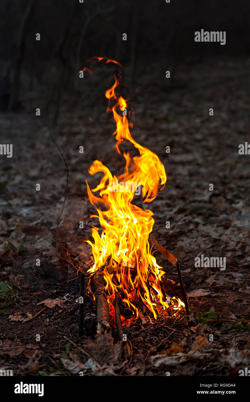 Night bonfire in the forest. Barbecue, camping tourism Stock Photo - Alamy