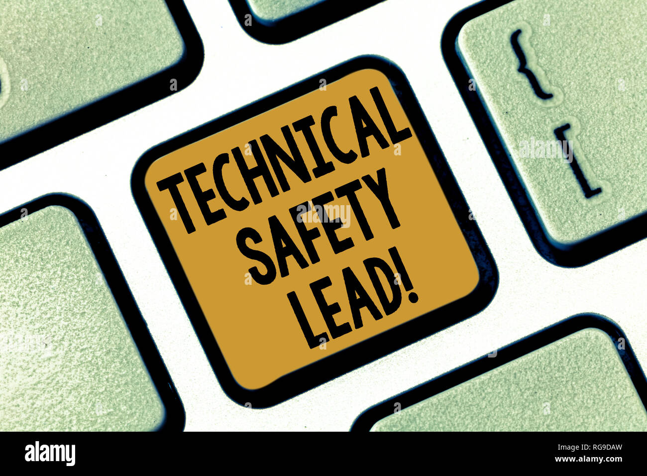 Text sign showing Technical Safety Lead. Conceptual photo Maintain ...