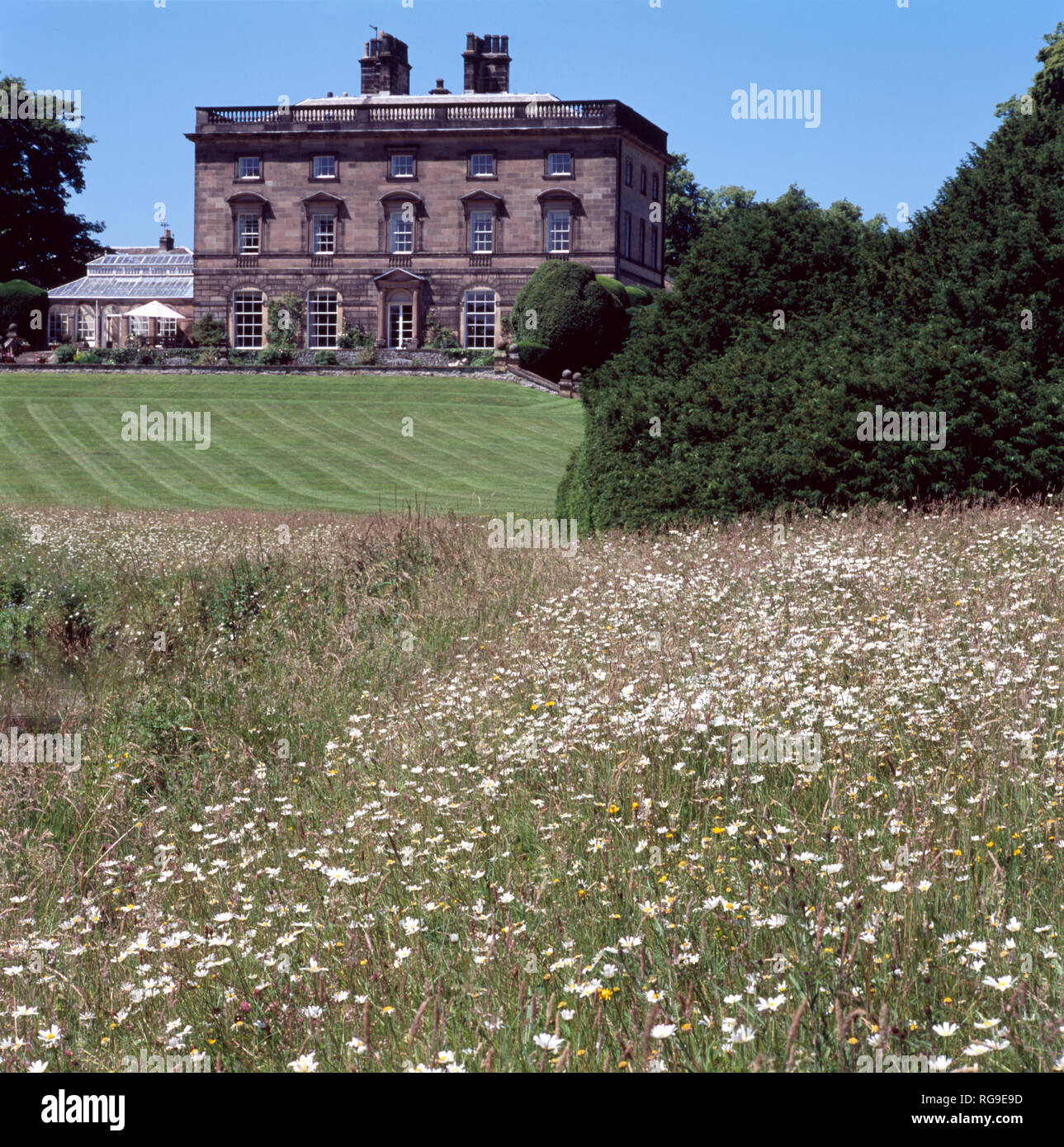 Wild flower area in garden of large country house with mown lawn Stock ...