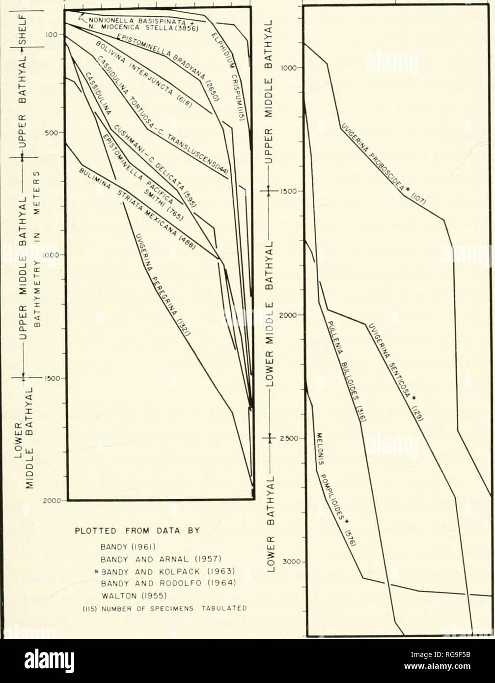 . Bulletins of American paleontology. Foraminifera-Miocene-Pliocene ...