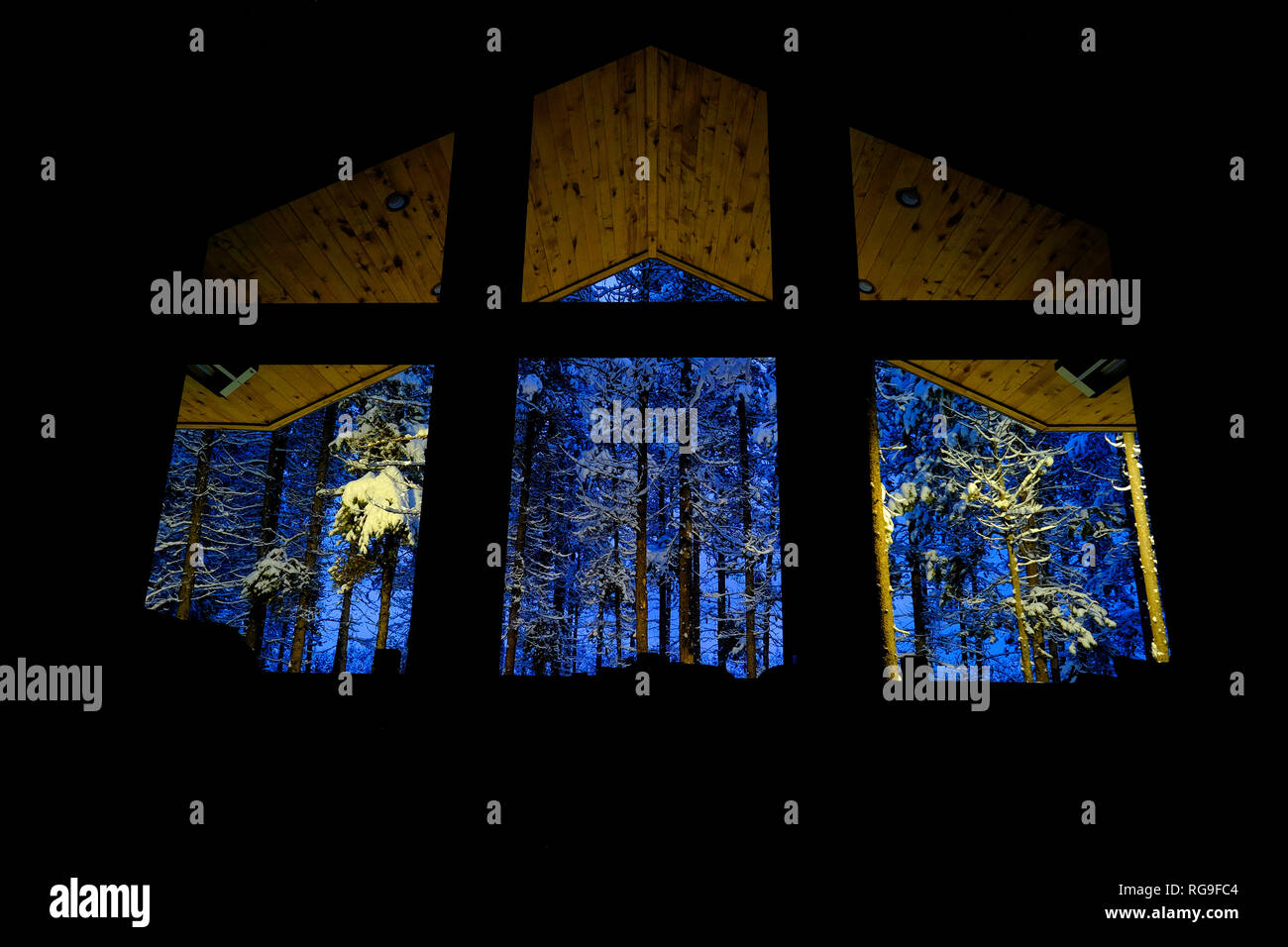 Cabin windows looking out into the dark at snow covered forest in ...