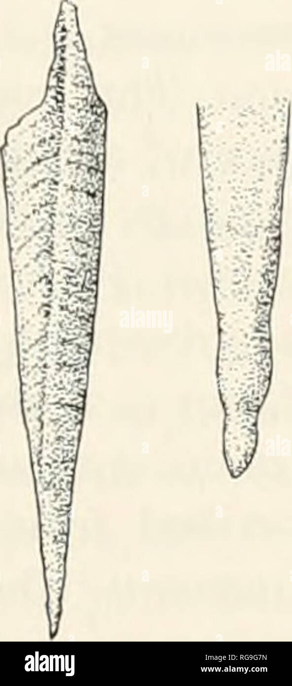 . Bulletins of American paleontology. Dominican Neocene Holoplanktonic ...