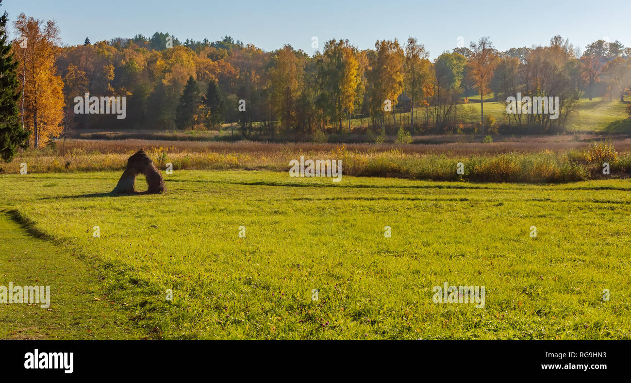 Autumn field with single haystack and the wood in the background. Rural ...