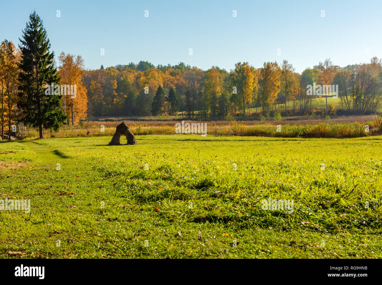 Autumn field with single haystack and the wood in the background. Rural ...