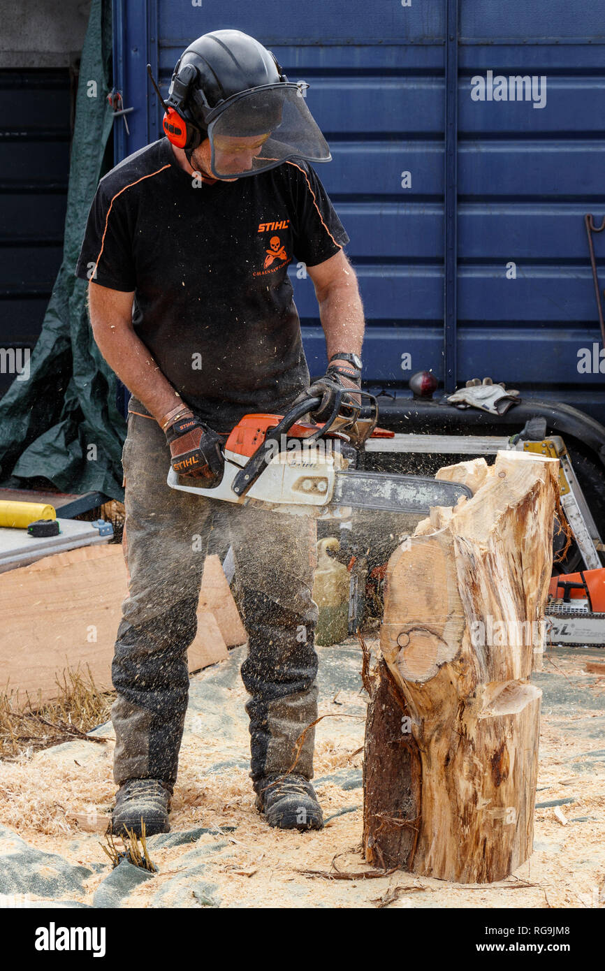 Chainsaw wood carving and tree sculpture demonstration at a country ...