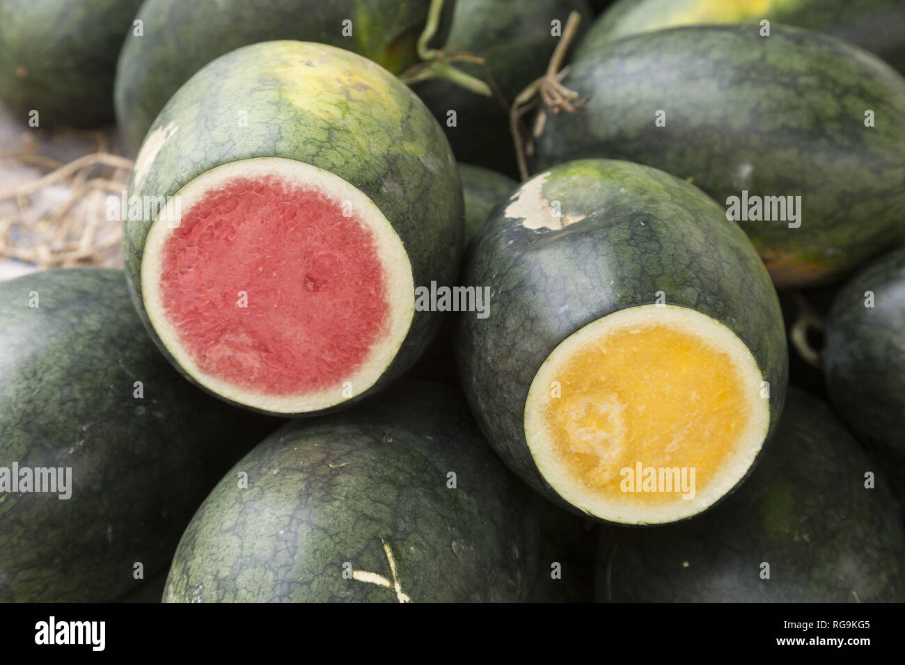 Red and yellow watermelons Stock Photo - Alamy