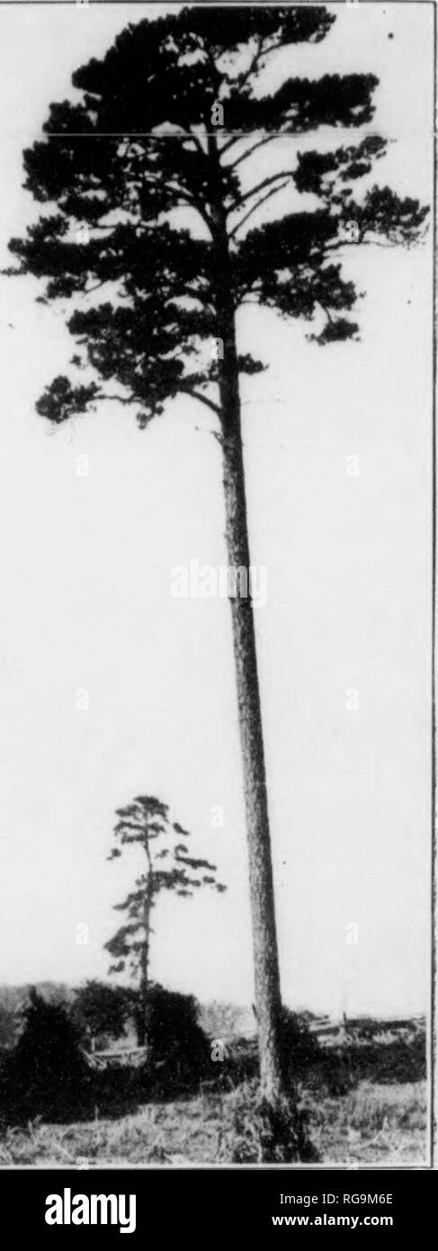 Af form Black and White Stock Photos & Images - Alamy