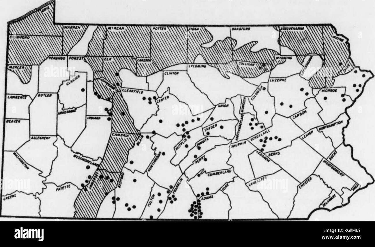 American chestnut blight Black and White Stock Photos & Images - Alamy