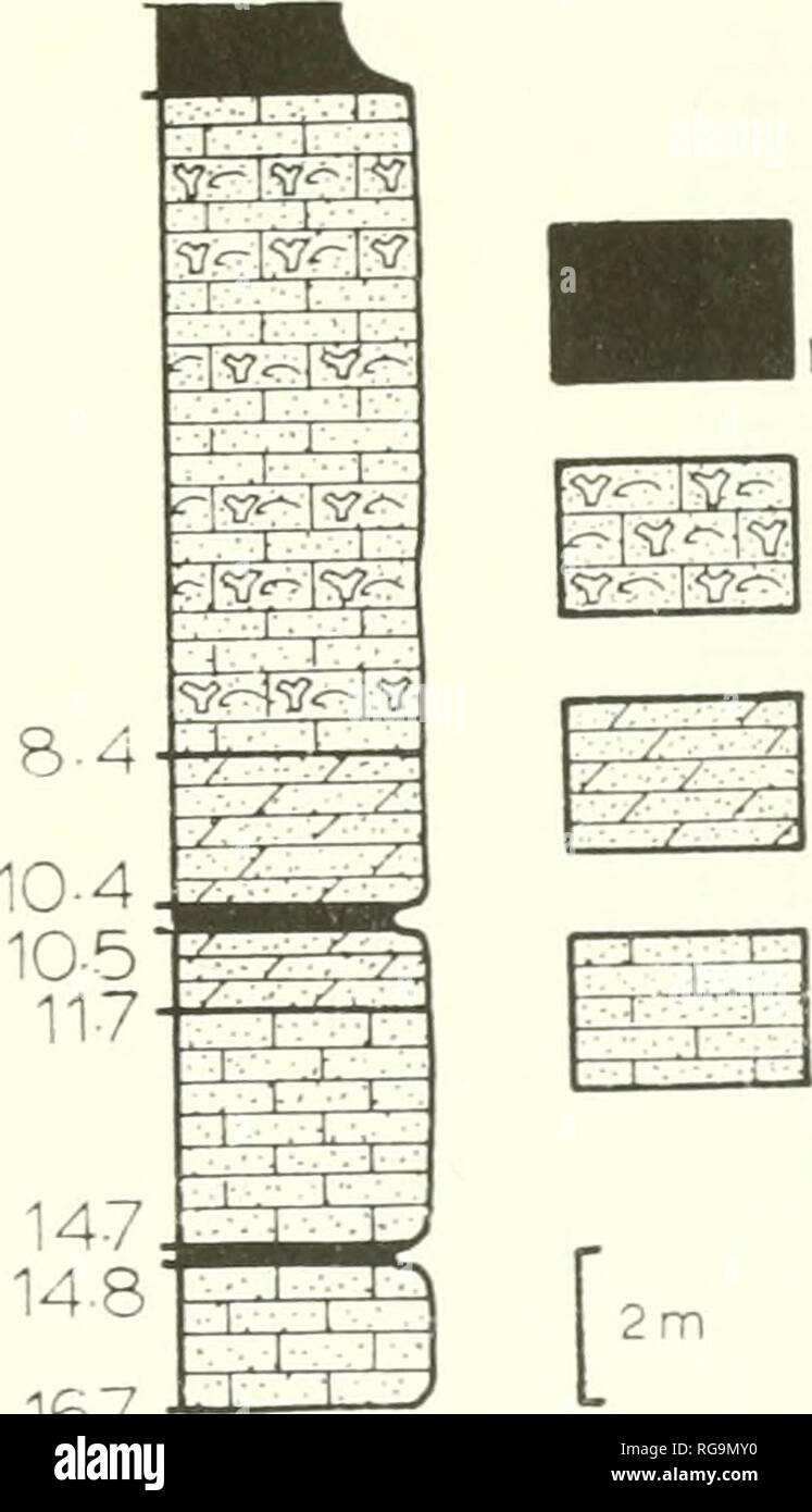 Dolomitized hi-res stock photography and images - Alamy