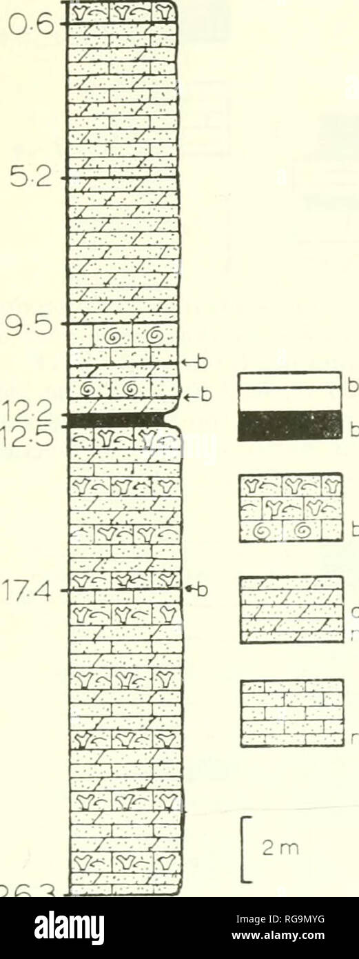 Dolomitized hi-res stock photography and images - Alamy