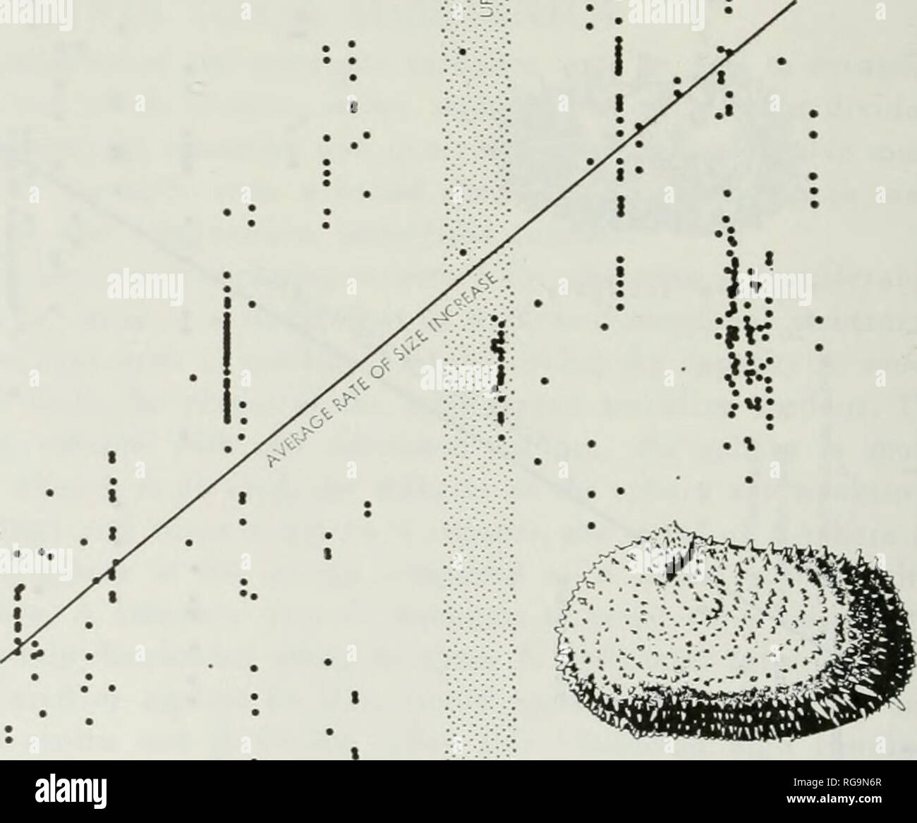 . Bulletins of American paleontology. 32 R. H. Benson efficient cross ...