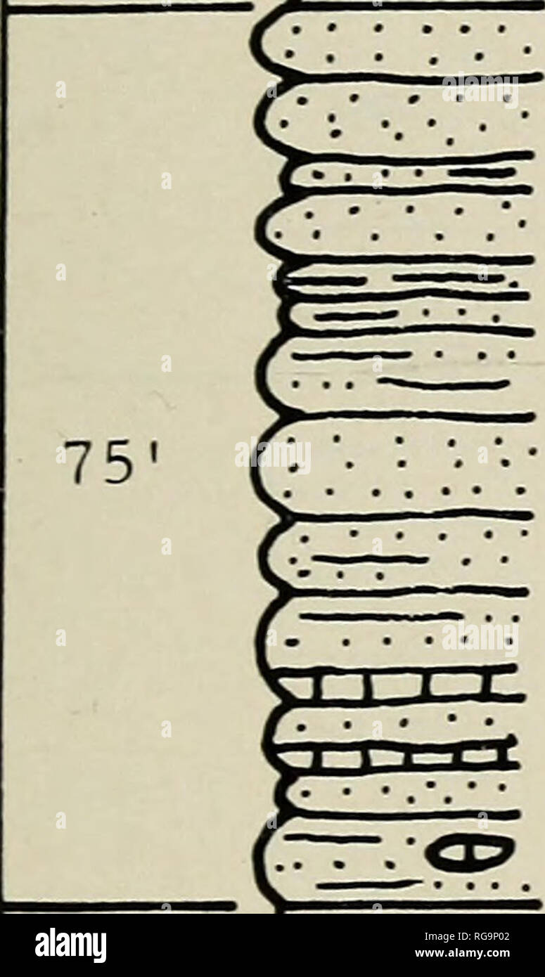 Fossiliferous clay hi-res stock photography and images - Alamy