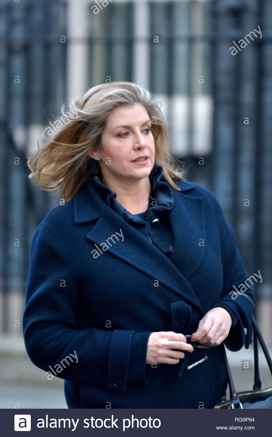 Penny Mordaunt Stock Photos & Penny Mordaunt Stock Images - Alamy