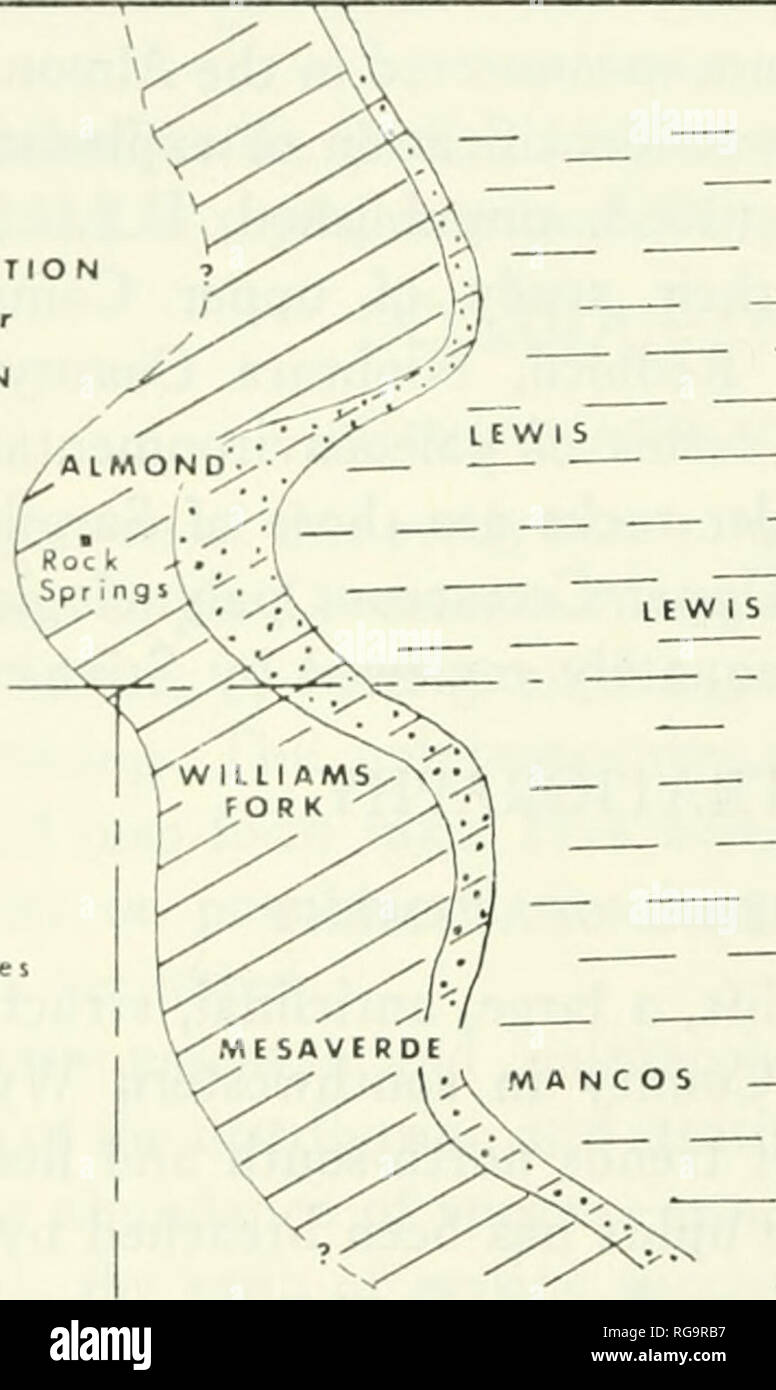 . Bulletins of American paleontology. Bulletin 278 Taylor and Navarro ...