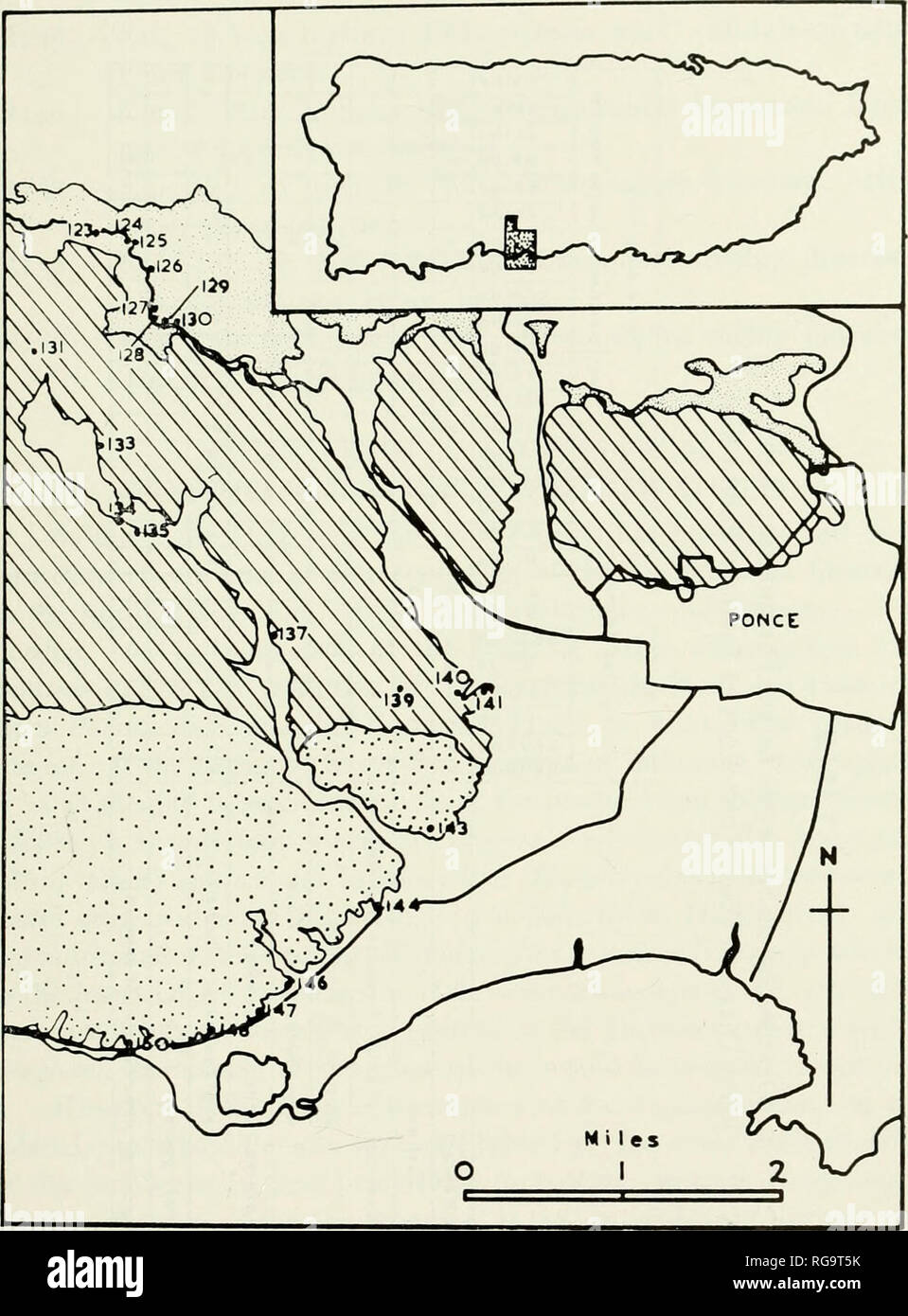 . Bulletins of American paleontology. Puerto Rican Foraminifkra: Sachs ...
