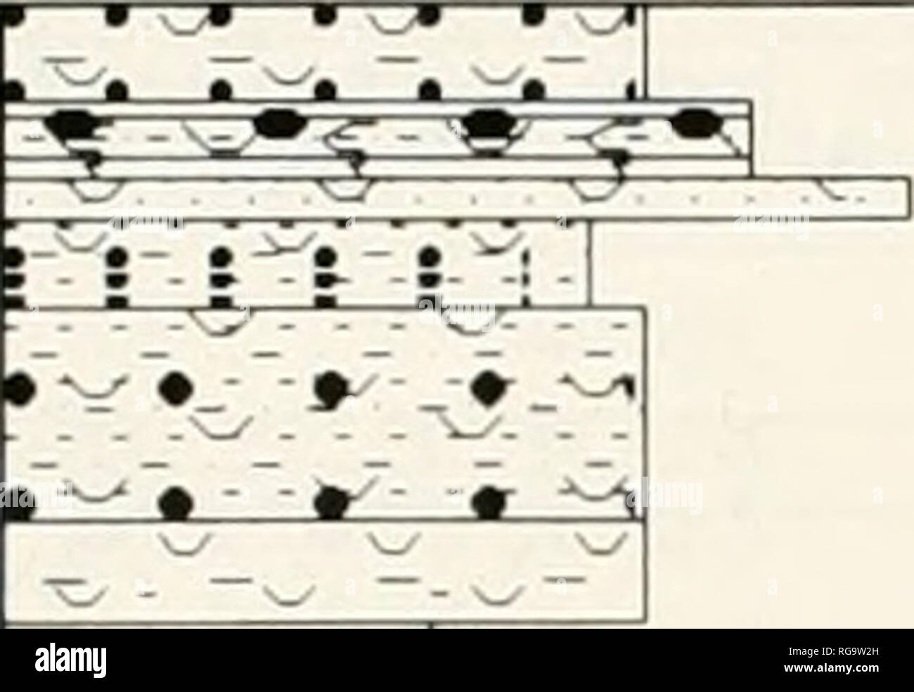 Interbeds hi-res stock photography and images - Alamy