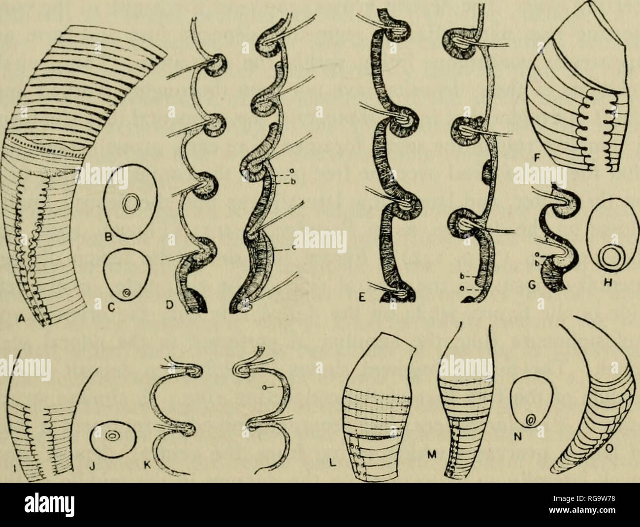 Vccr hi-res stock photography and images - Alamy