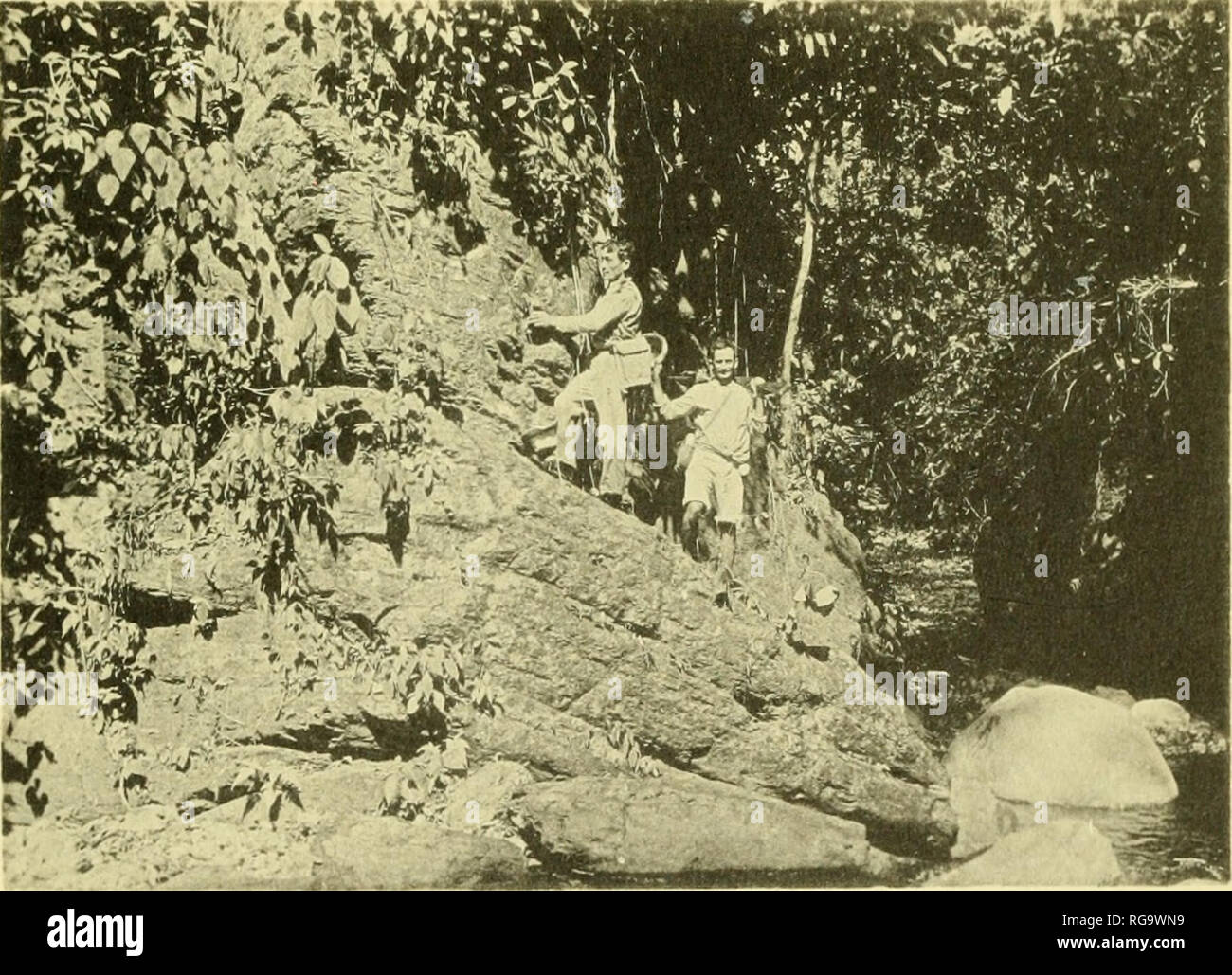 Devonian shale hi-res stock photography and images - Alamy